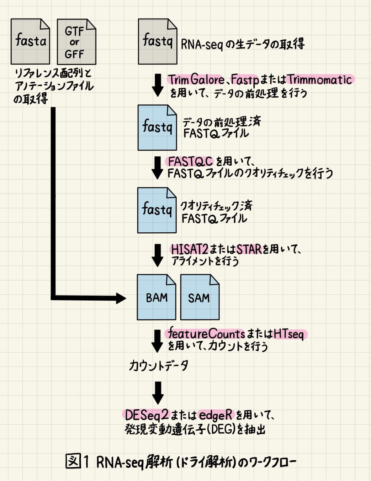 【Part 0】RNA-seq解析（ドライ解析編）の流れを詳しく解説！ | じっくり医学講座
