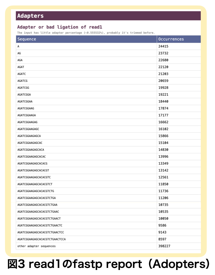 【RNA-seq解析 Part 2】FASTQファイルの前処理・クオリティチェックのやり方について詳しく解説！ | じっくり医学講座